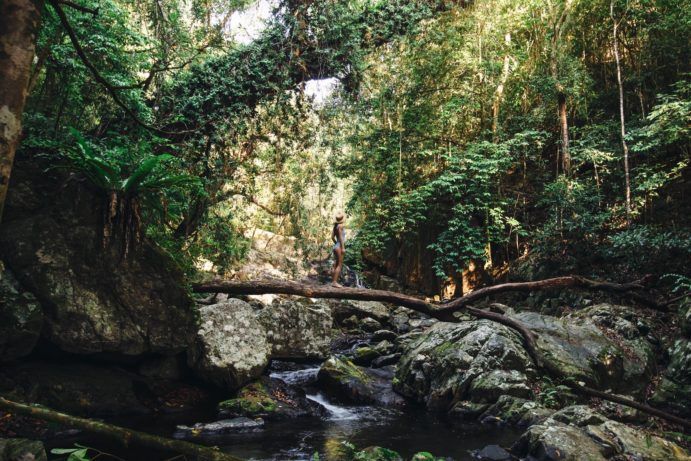 The Best Freshwater Swimming Spots Near Cairns | Queensland