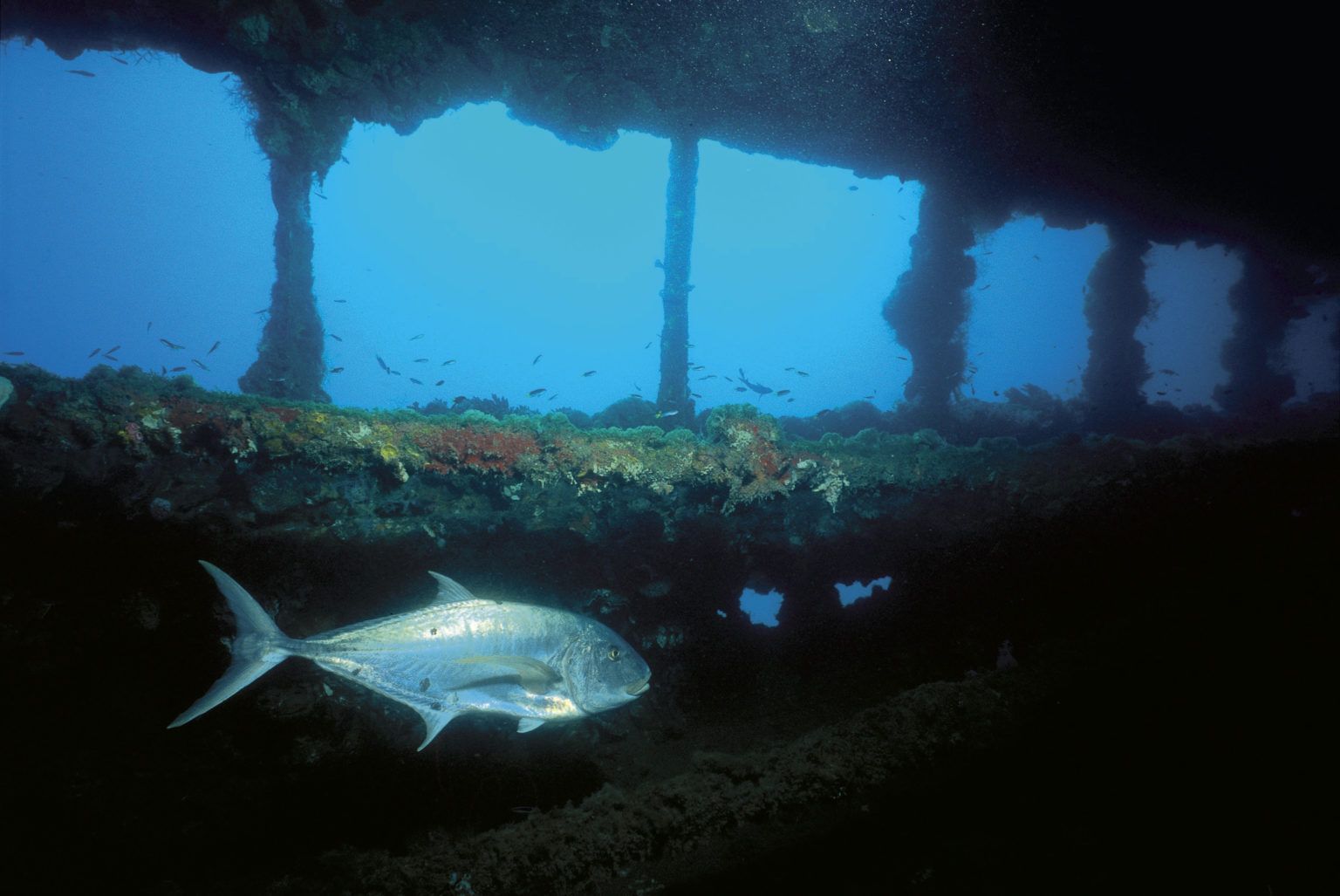 Queensland's Shipwreck Dives - Your Diving Guide | Queensland