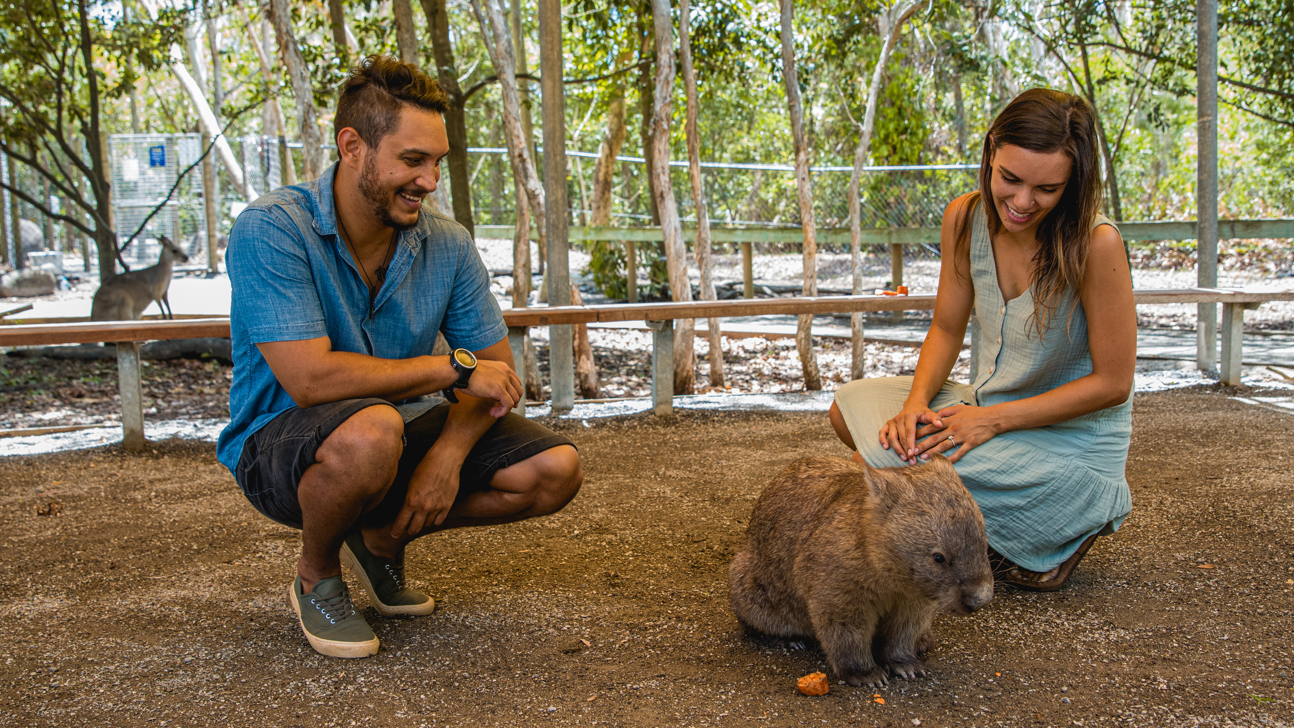 The Best (Guaranteed) Australian Animal Encounters | Queensland