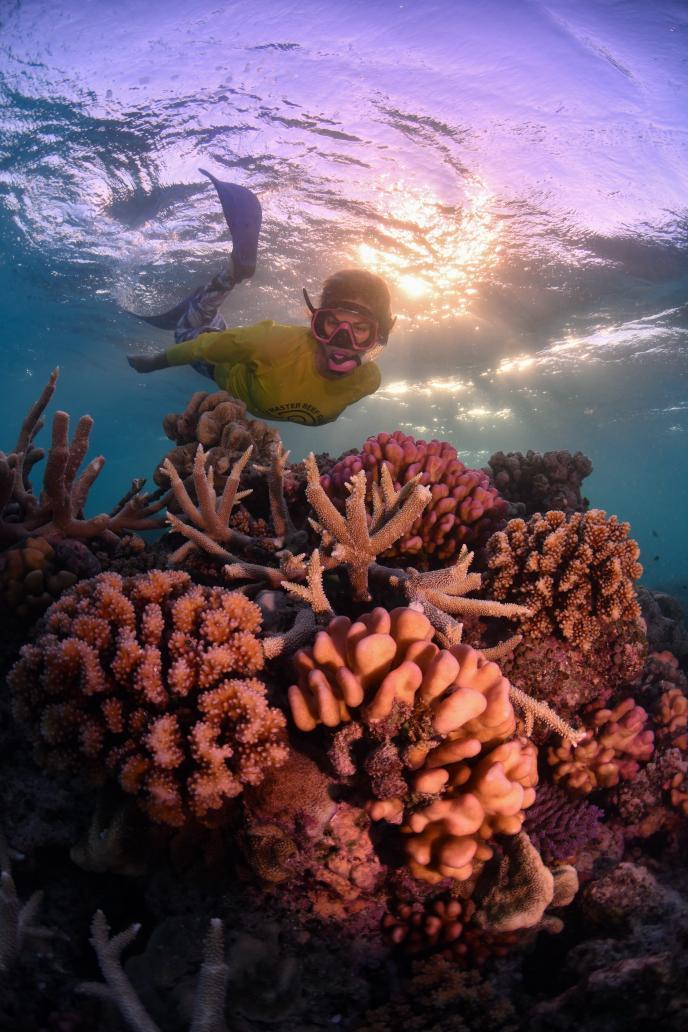 Meet Master Reef Guide Sam Gray | Queensland