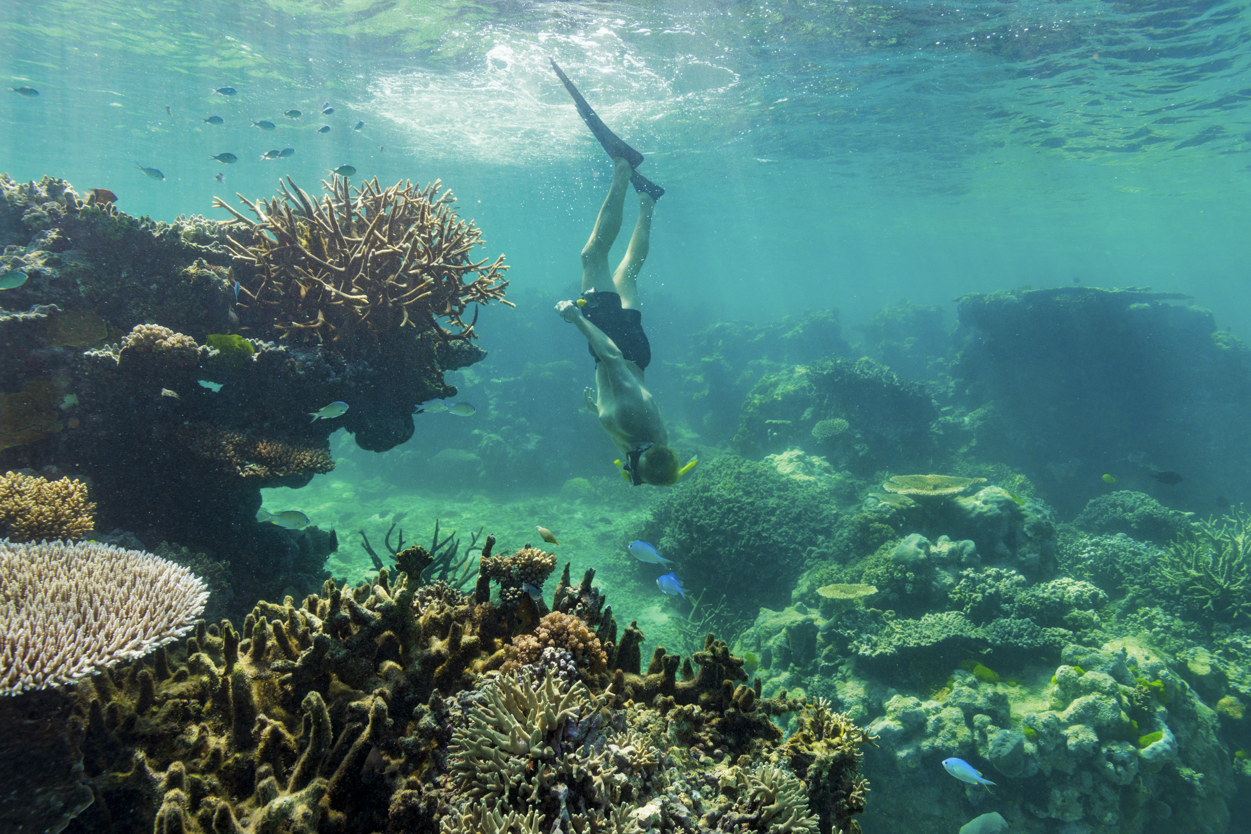 Great Barrier Reef Australia Best Time To Visit - Infoupdate.org