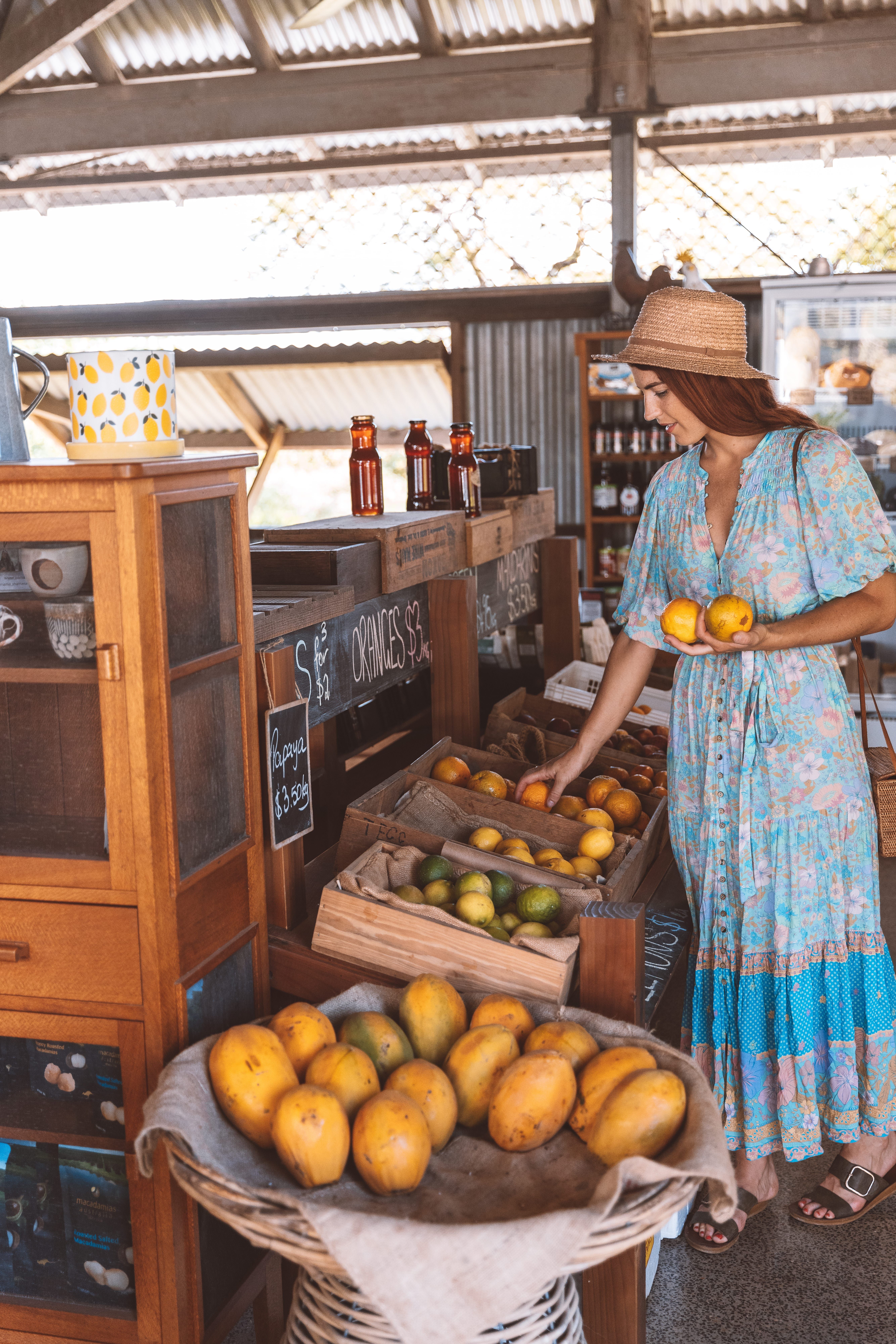 How to do the Daintree Rainforest on a budget | Queensland