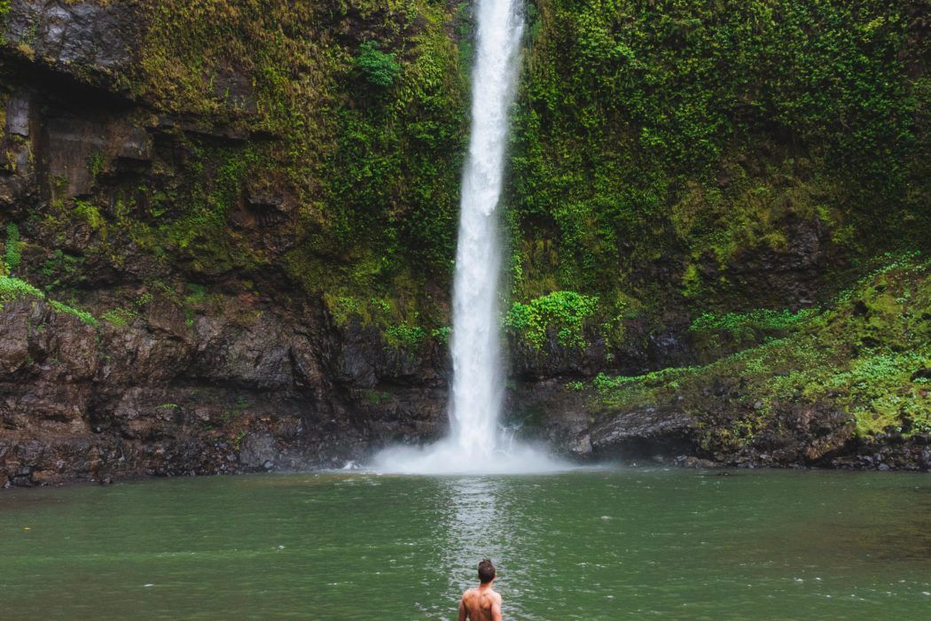 Waterfalls and Swimming Holes – Nature and Wildlife | Queensland