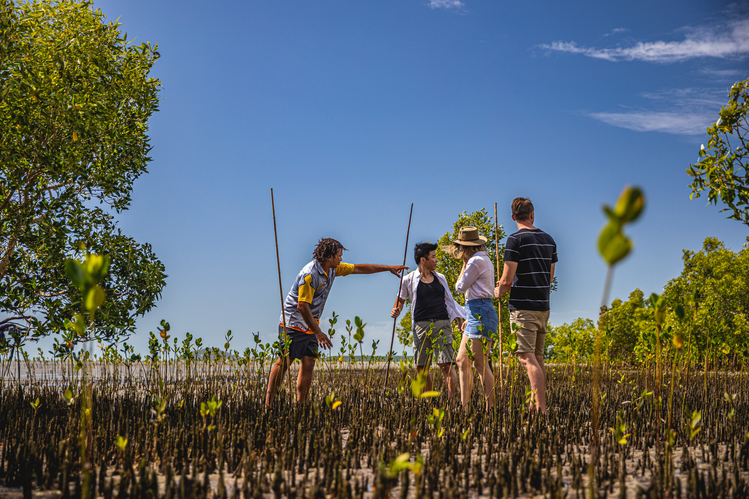 Indigenous Tours - Cairns and Tropical North Queensland | Queensland