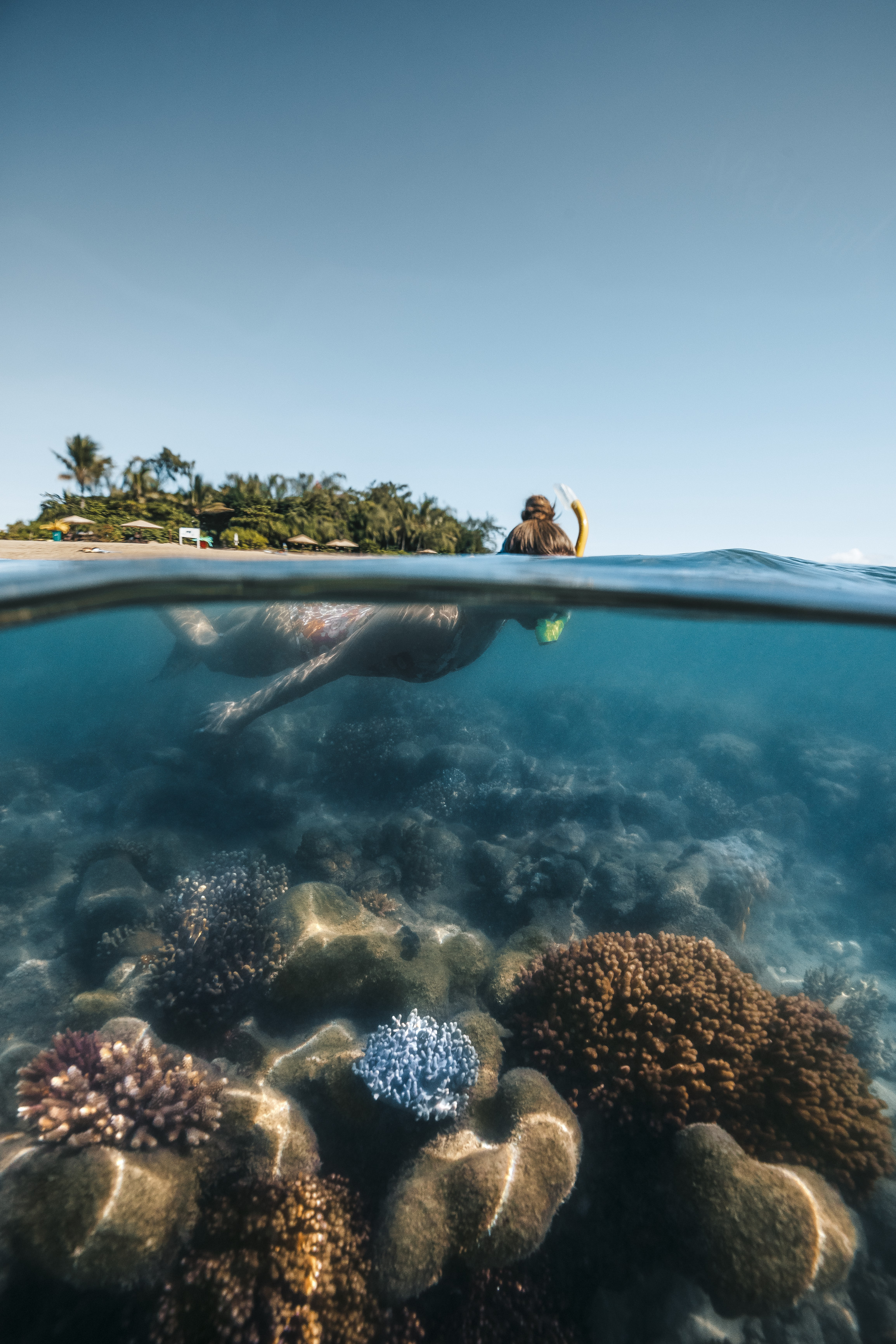 How to experience the Great Barrier Reef on a budget | Queensland