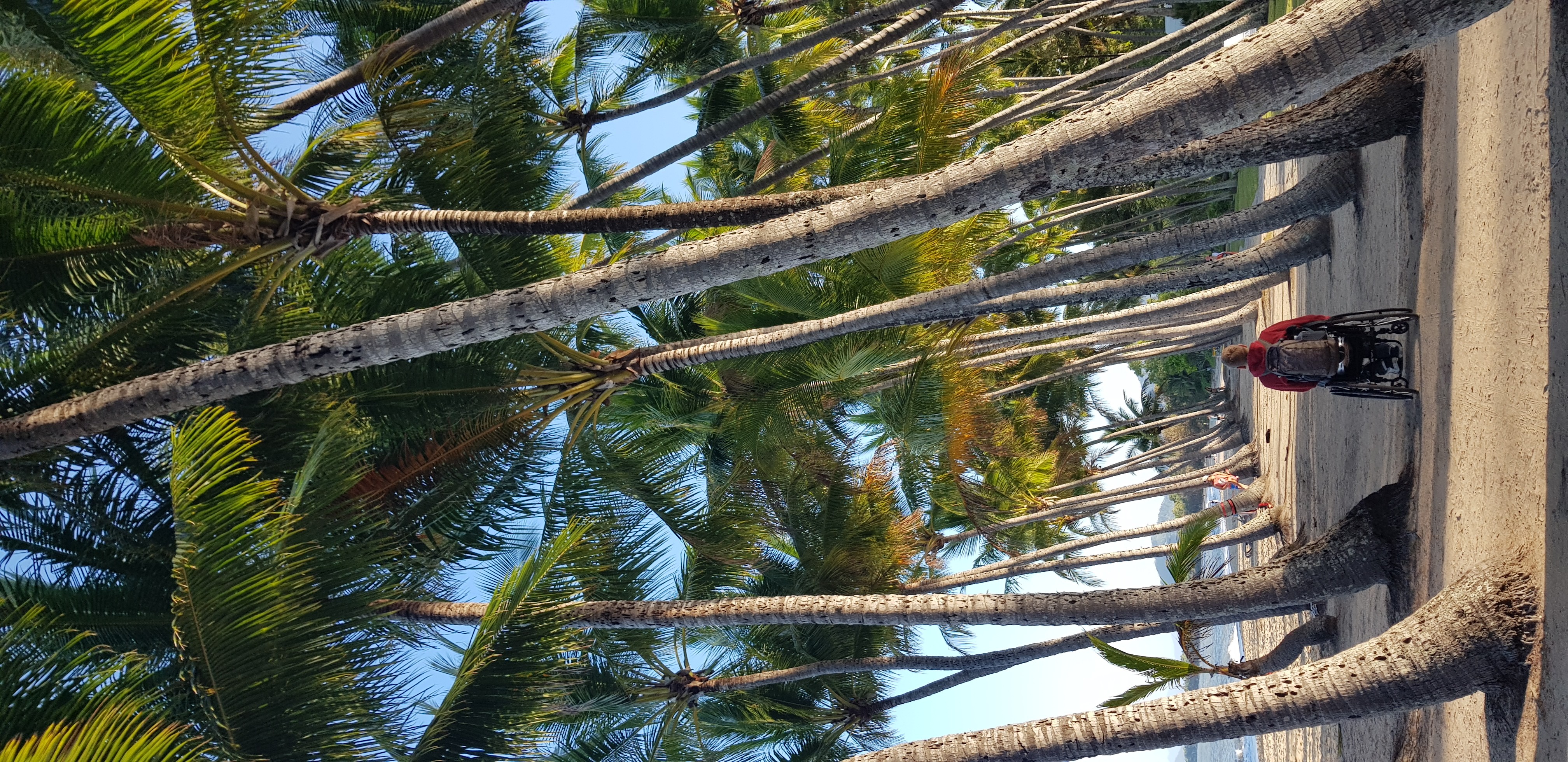 Accessible beaches in Queensland | Queensland