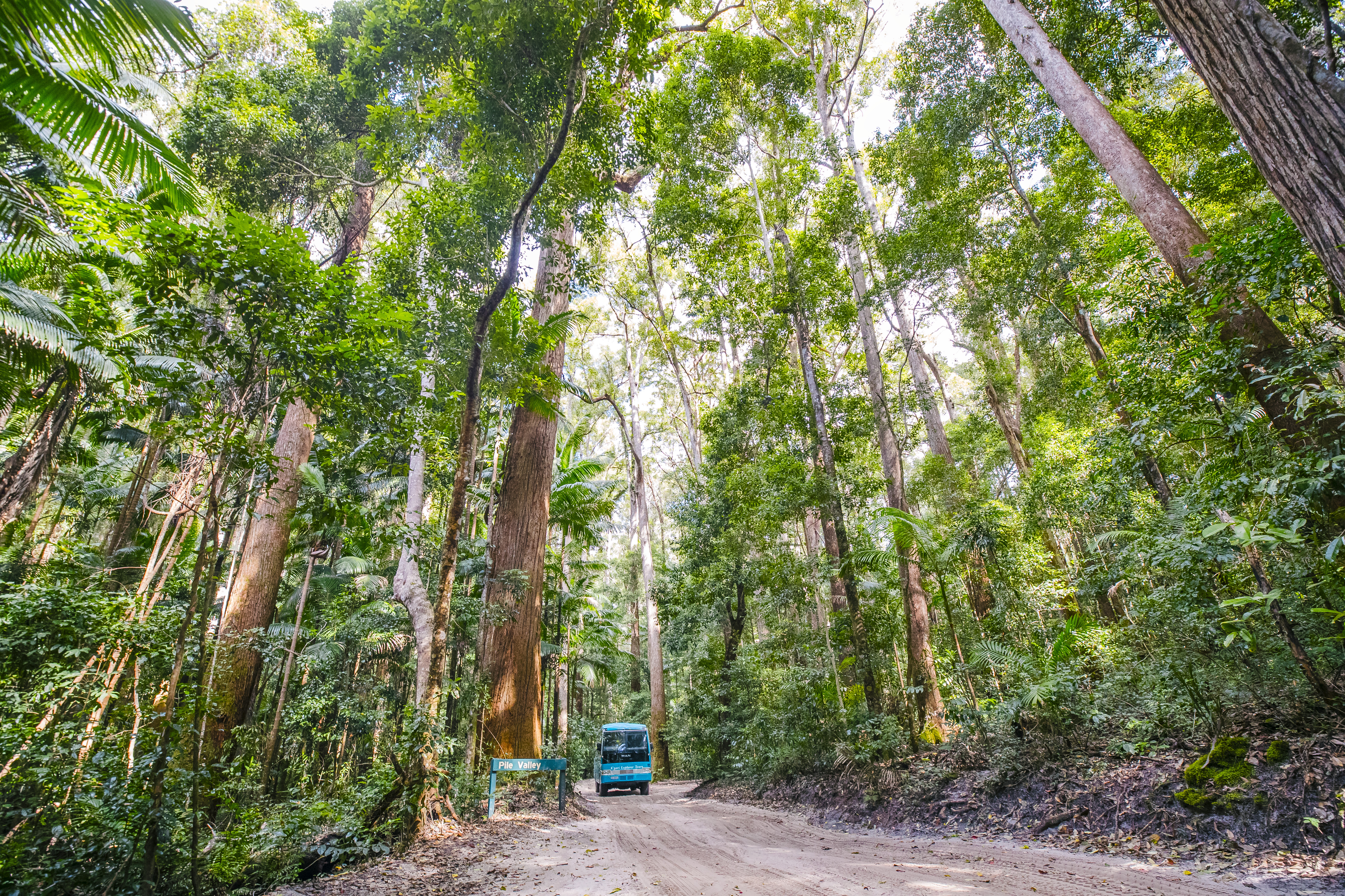 19 K'gari (formerly Fraser Island) Tours to Make the Most of Your Visit ...