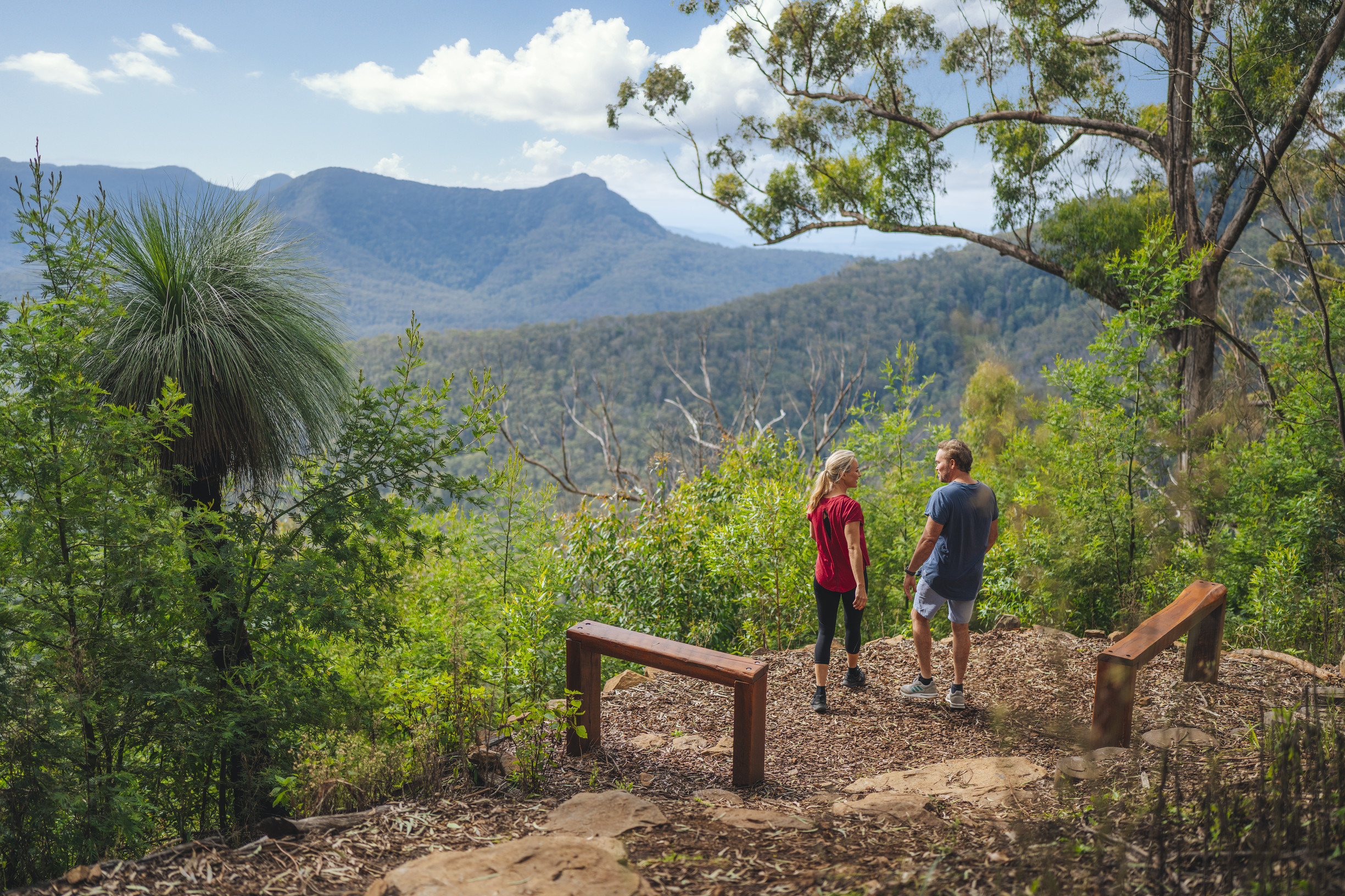 Discover the Queensland Great Walks | Queensland