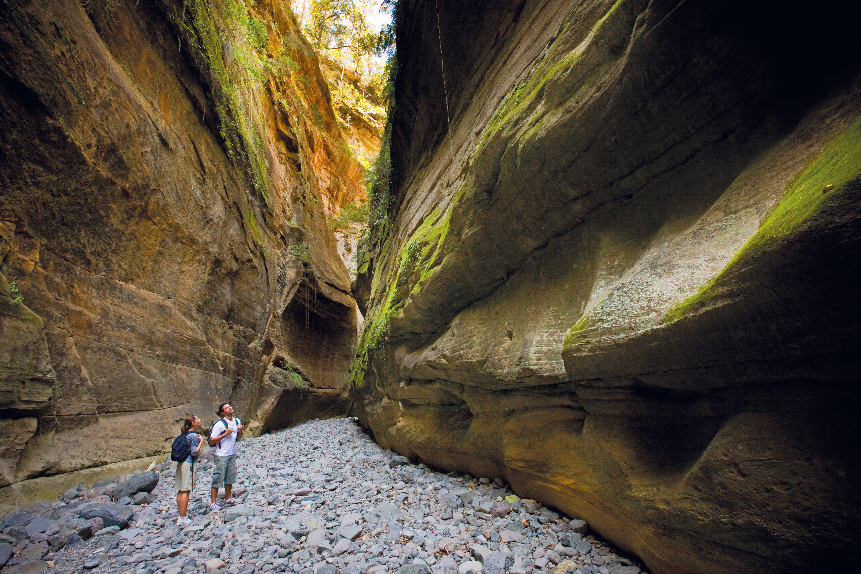 The Best Carnarvon Gorge Walks | Queensland