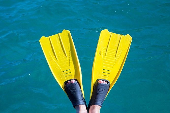 Learn the Lingo: Scuba Slang and Underwater Terminology | Queensland