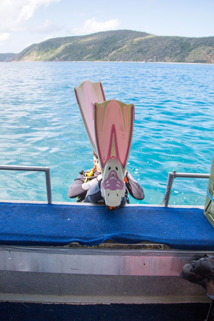 Learn the Lingo: Scuba Slang and Underwater Terminology | Queensland