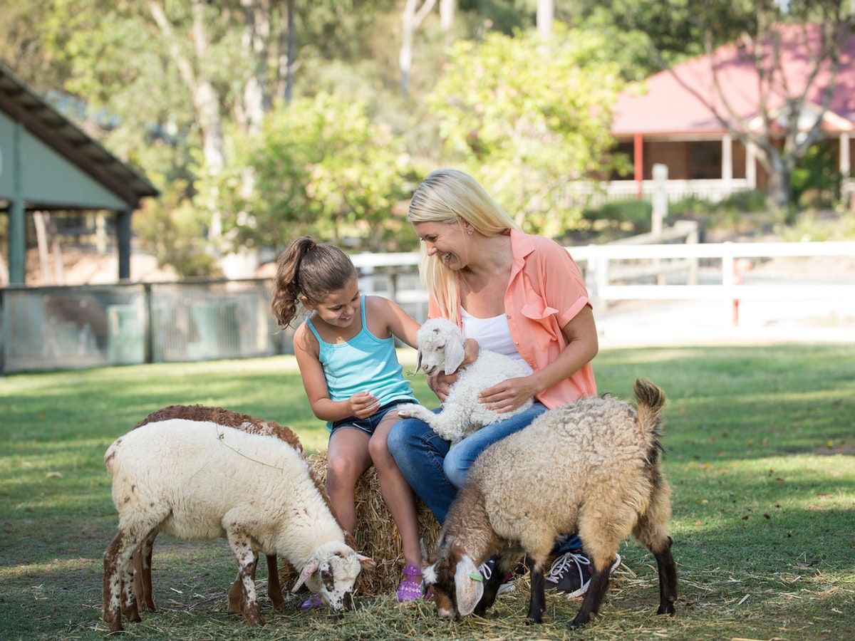 How to Spend the Day at Paradise Country - Gold Coast | Queensland