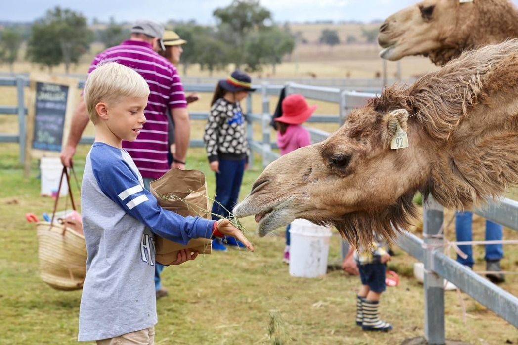 6 Authentic Rural Farm Experiences Near Brisbane | Queensland