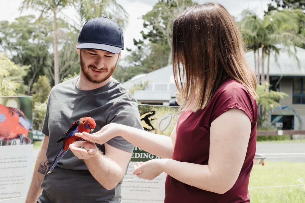Greet the locals with these 5 Gondwana wildlife experiences | Queensland