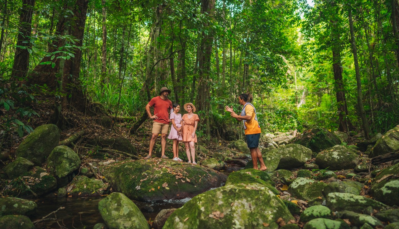 3 day family itinerary in the Daintree Rainforest | Queensland