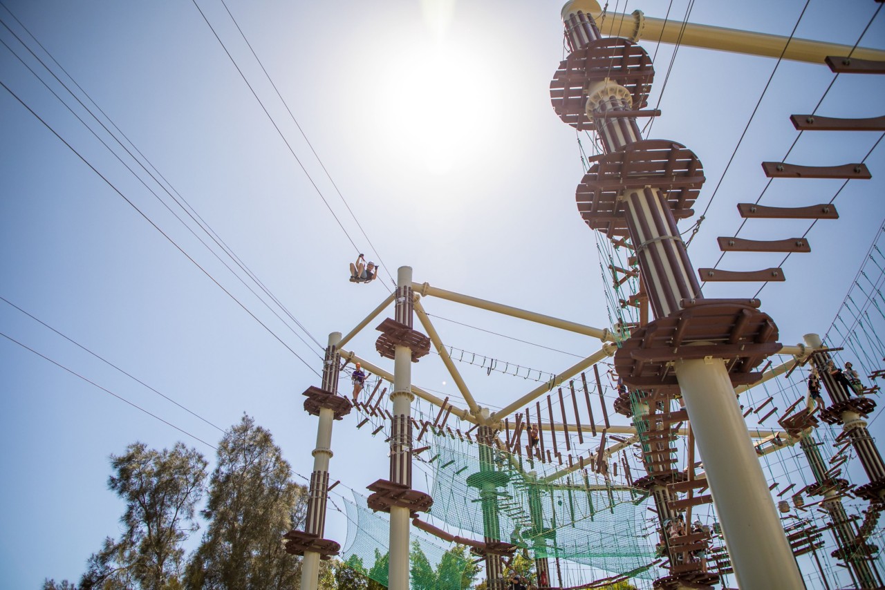 Next Level High Ropes Adventure Park Is Now Open | Queensland