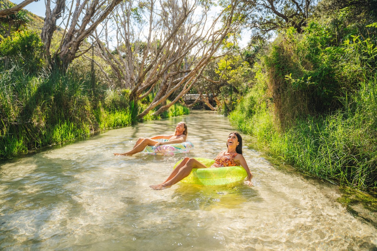 7-Day Road Trip from Sunshine Coast to The Whitsundays | Queensland