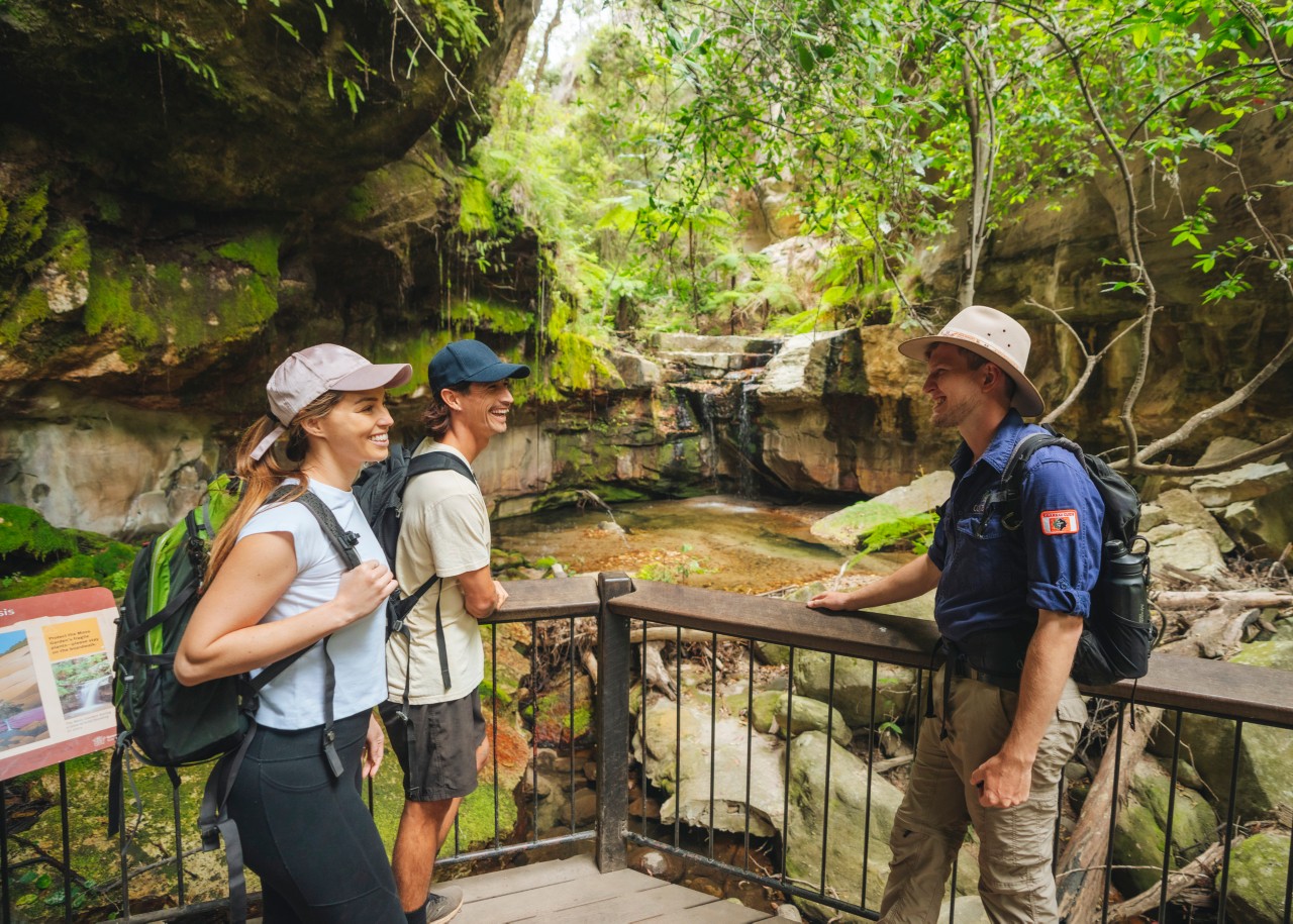The Best Carnarvon Gorge Walks | Queensland