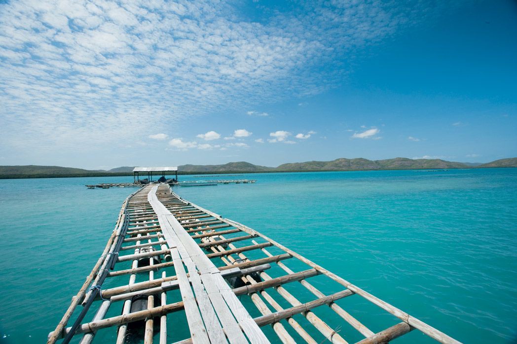 Local’s Guide to the Torres Strait Islands | Queensland