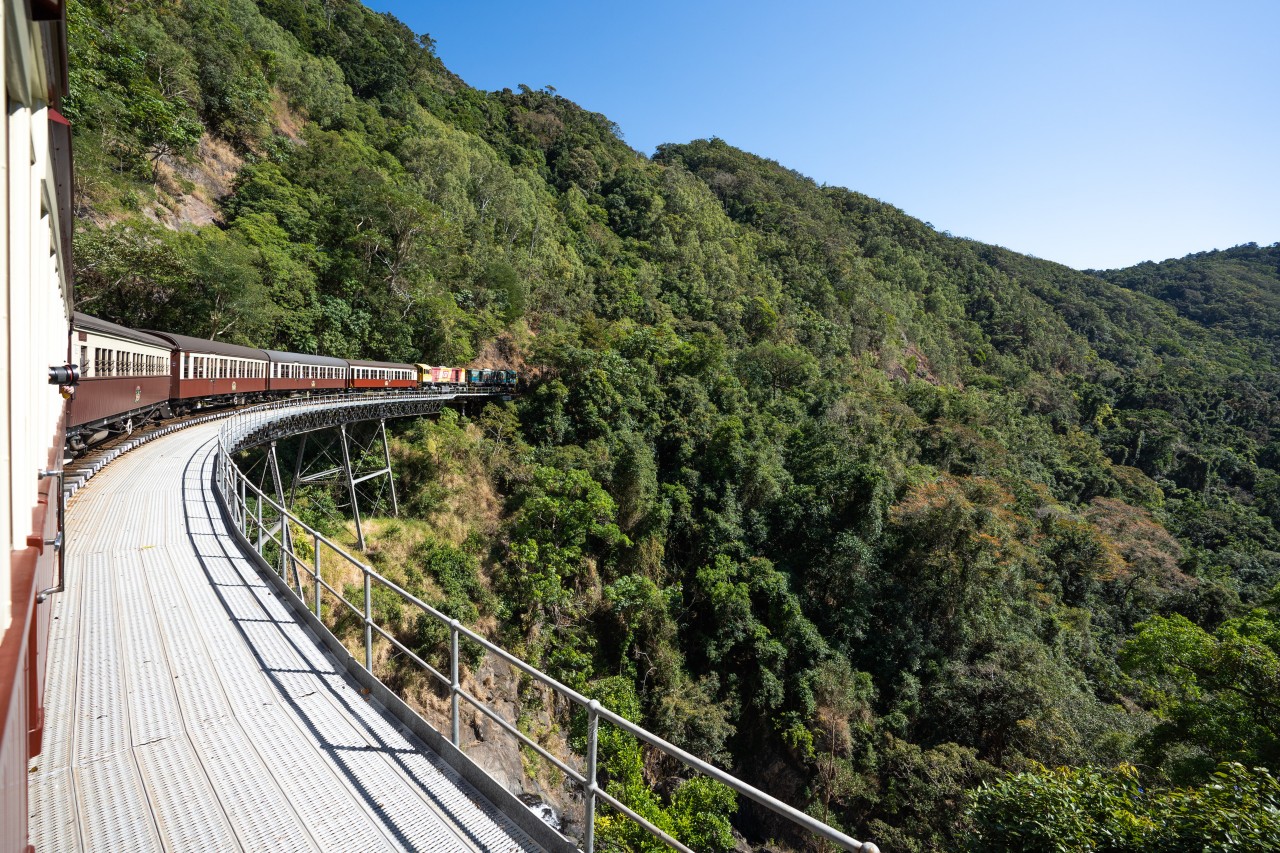 Top Things to Do in Kuranda, Cairns’ Mountain Village | Queensland