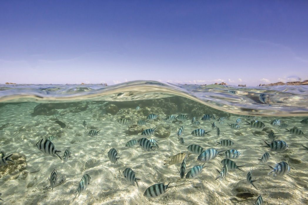 30 Things to Do In The Southern Great Barrier Reef | Queensland