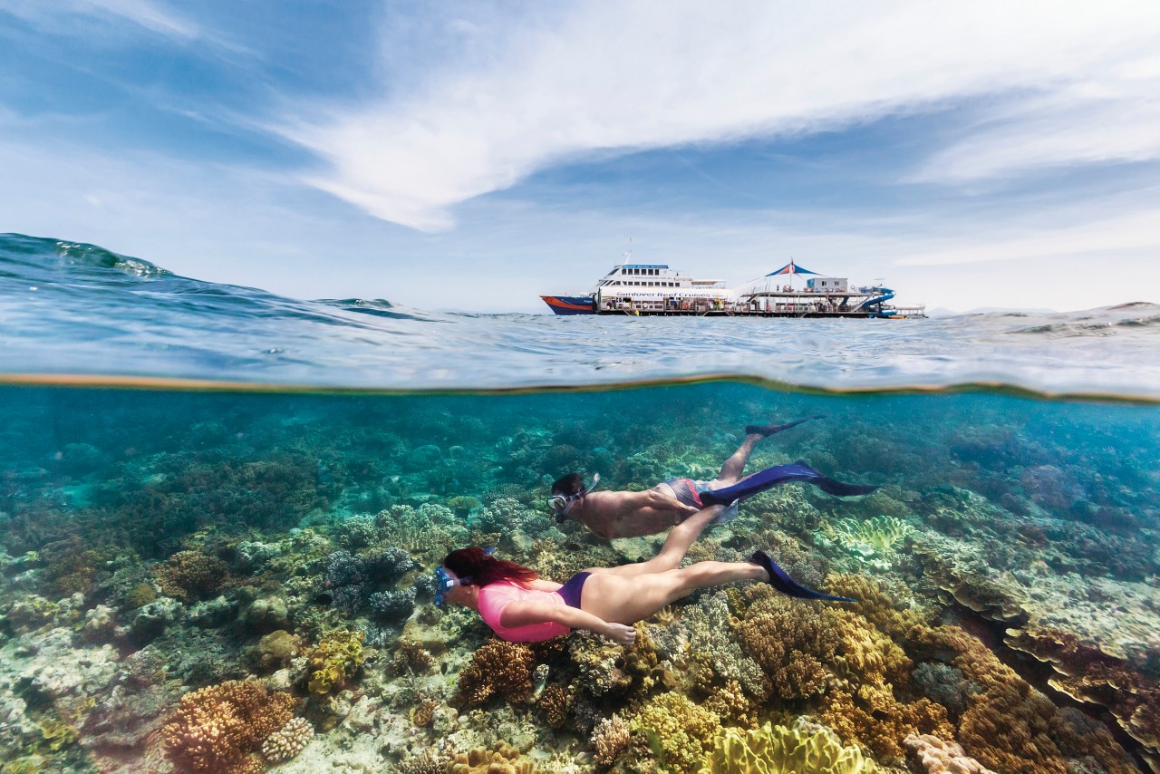 How to Access the Great Barrier Reef From Cairns | Queensland