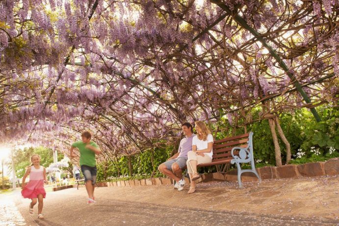 Queensland's Best Botanic Gardens and Flower Festivals | Queensland
