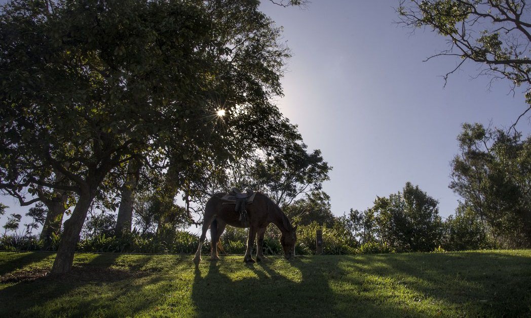 Mount Mee Weekend: 48 Hours of Wining and Dining | Queensland