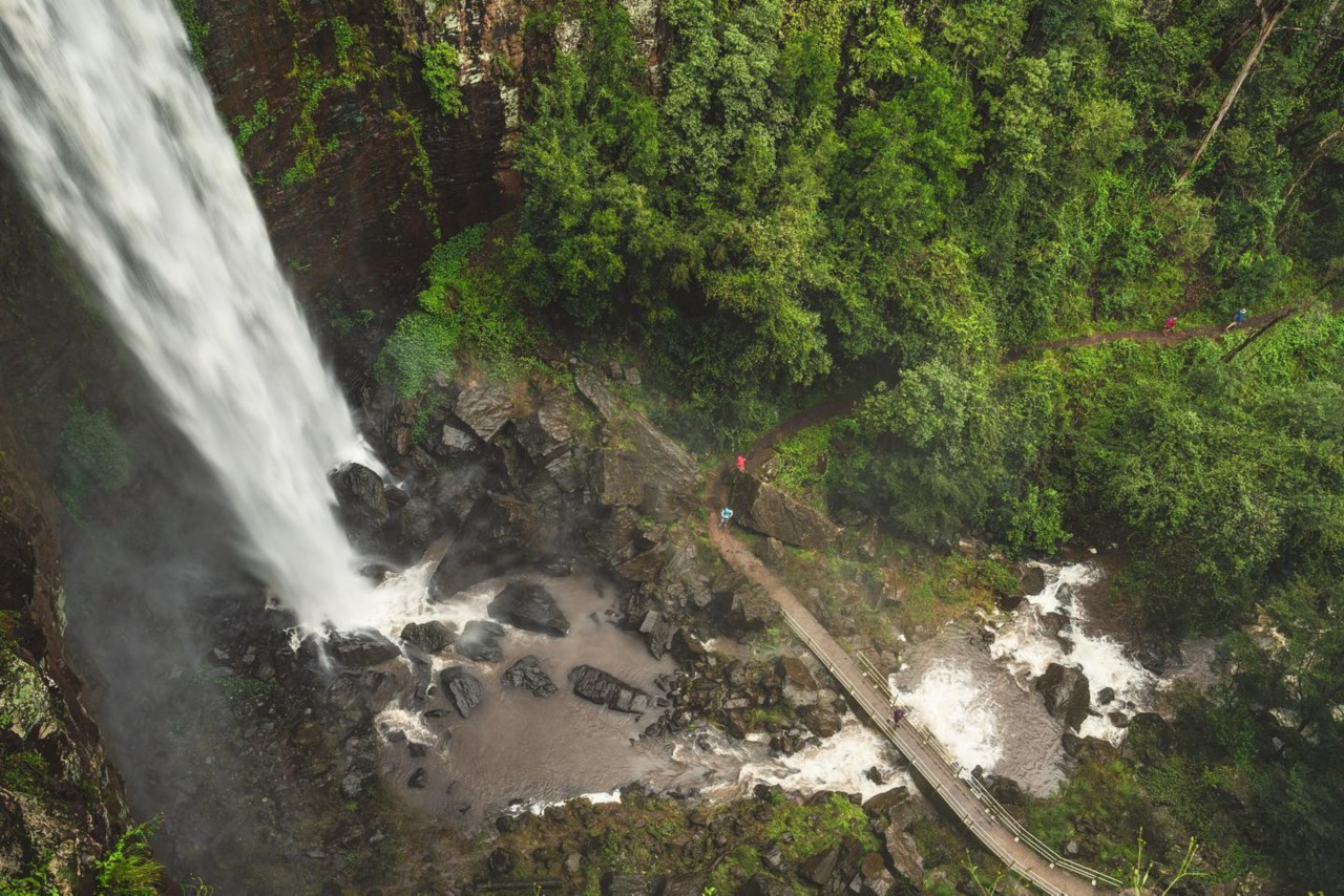 Road Trip to Queen Mary Falls From Brisbane - Driving Itinerary ...